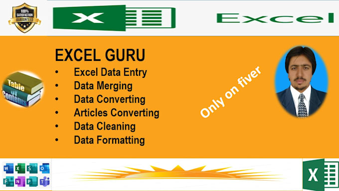 Excel guru with excel data entry by Mushtaqtajjak | Fiverr