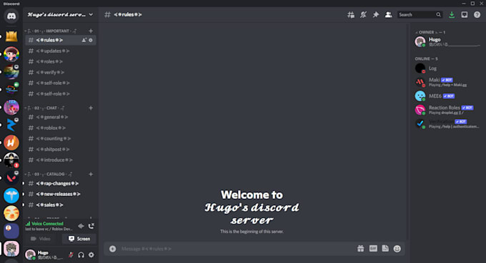 Make a discord server by Hugonorlin | Fiverr
