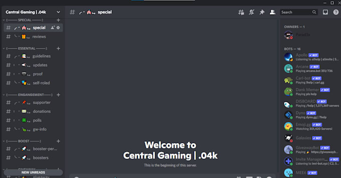 Design a professional discord server by Vx_nashwan | Fiverr
