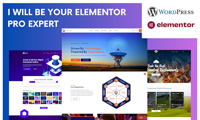 Be your elementor pro expert by Pro_kamrul | Fiverr