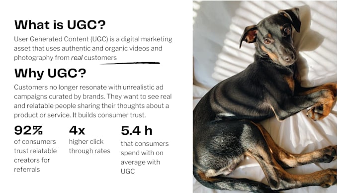 Create ugc content ig reels or photos for your brand by Itsnishawatta | Fiverr