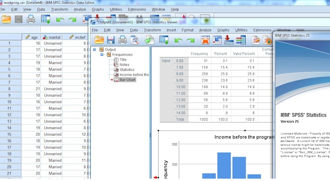 Do data analysis in spss and interpret by Dua_zahara | Fiverr