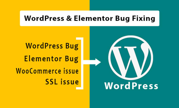 Fix your wordpress bug and elementor bug superfast by Wordpres_jummon | Fiverr