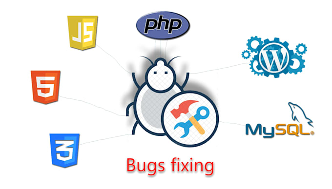 Do codecanyon script installation and bug fixing by Aneelaneel6 | Fiverr