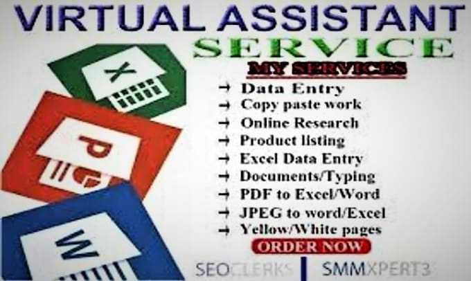 Do big data entry, web research, excel work by Anam1001 | Fiverr
