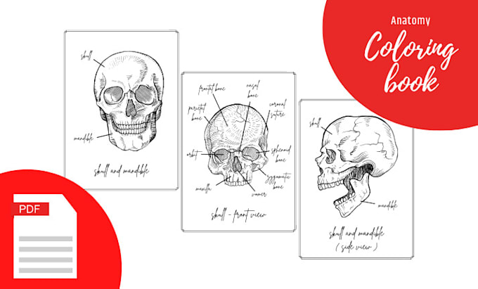 anatomy coloring book page 1