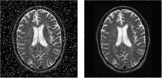 Do image processing computer vision projects using python or matlab by ...