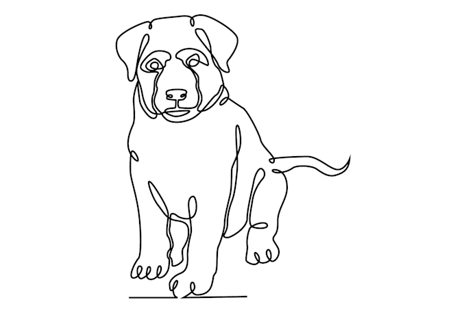 Create continuous one line art illustration of your pet portrait by ...