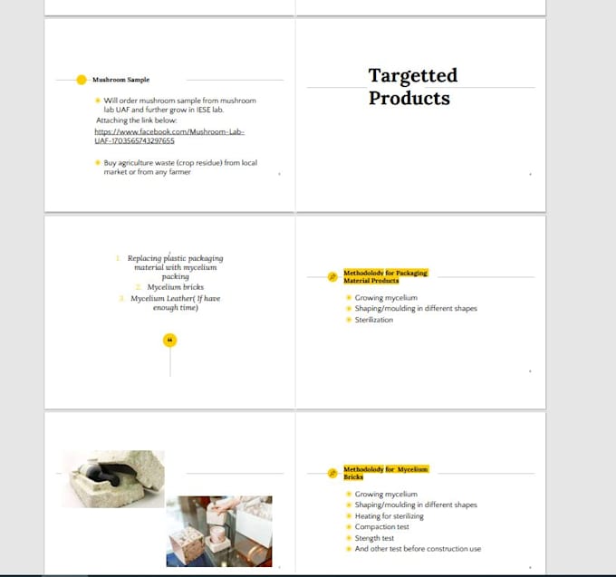 Create professional for powerpoint presentation slides by Jawariaishaq ...