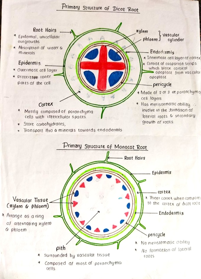 Handwrite or type any document, letters and notes for you by Theha22 ...