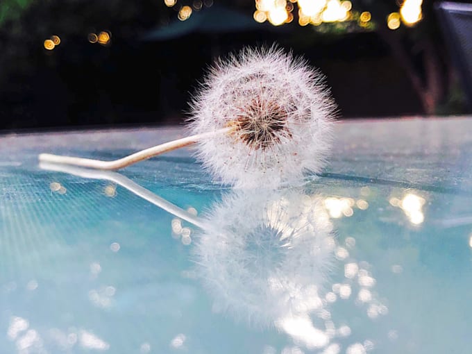 Listen, support, empower, and hold a safe space for you by Maple22w ...