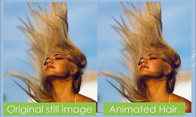 Create animated gifs, videos from still images or artwork by ...