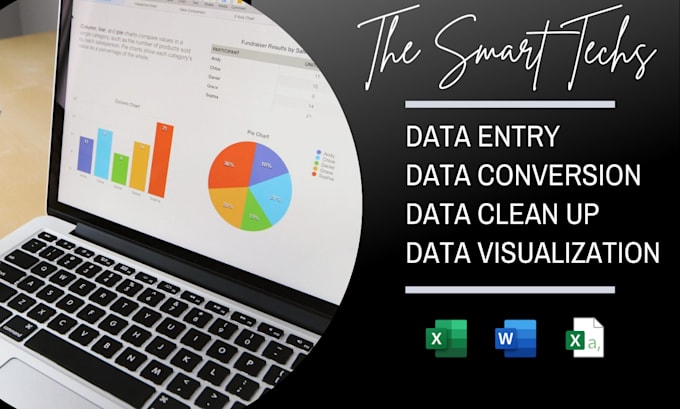 Do data entry, conversion, clean up, formatting, and charts by Thesmarttechs | Fiverr