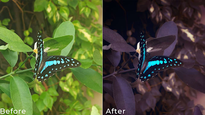 Make amazing edits of your pictures and create realistic composites by ...