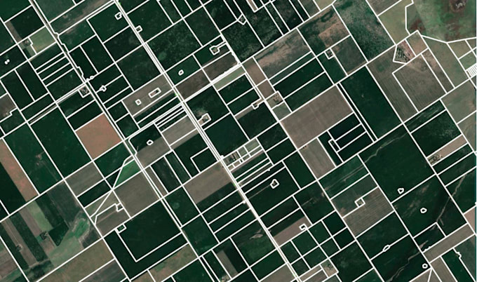 Create a vector map by Lworcel | Fiverr