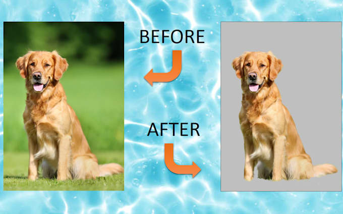 Remove background from any image by Ratkusi | Fiverr