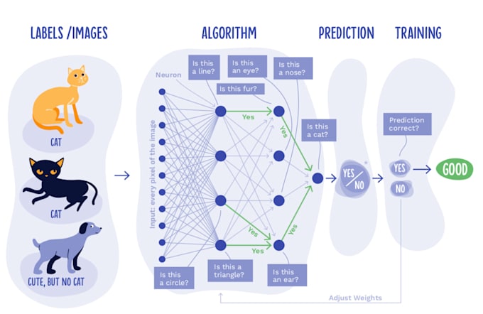 Do computer vision projects by Varenyambhardwa | Fiverr