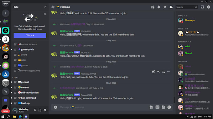 Help you set up your discord server, make bots for you, help you setup ...
