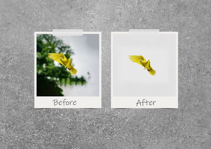 Professionally remove backgrounds from images, photos and graphics by ...