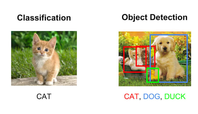 Train model for image classification and object detection by Rao_alqama ...