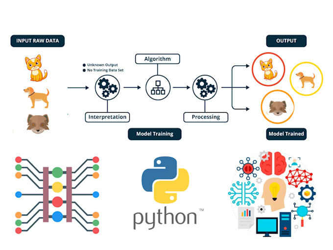 Implement transfer learning on custom dataset using python keras by ...