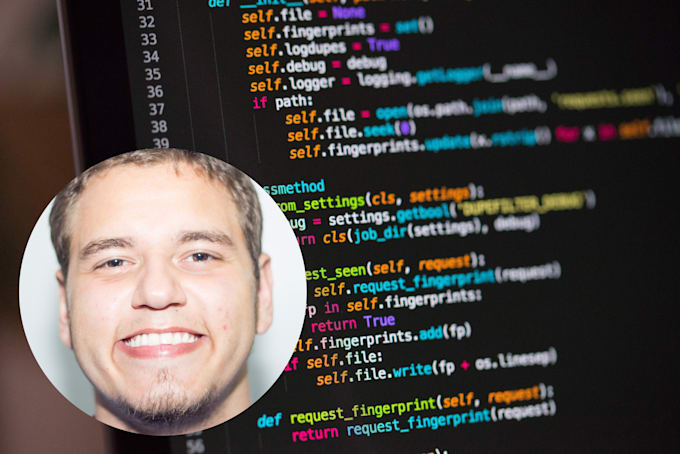 Help you with python, matlab or r projects by Vinicius_borges | Fiverr