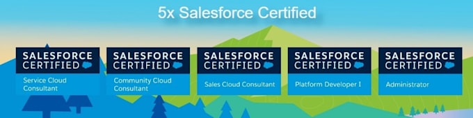 Do Any Salesforce Development Configuration And Integration By