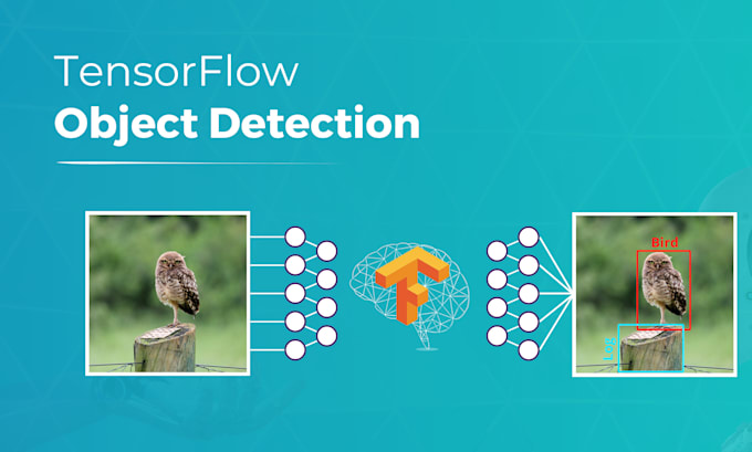 Do Object Detection Model By Williansalceda Fiverr