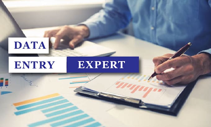 Input, edit, and arrange your data by Steveola2 | Fiverr