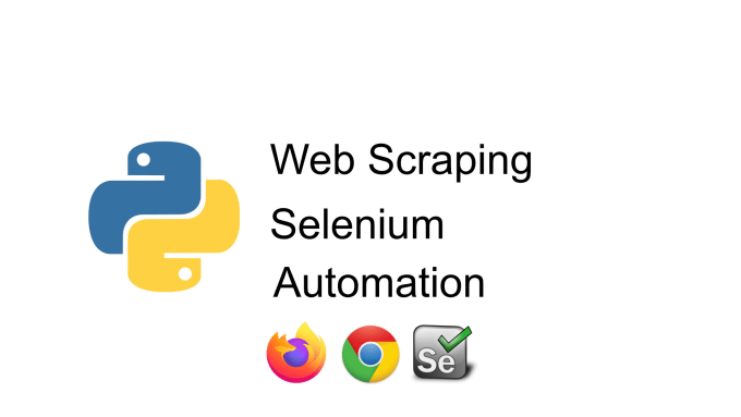 Create A Python Script For You By Husseinberg Fiverr