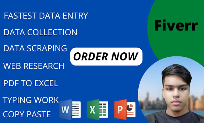Do data entry, web research, pdf to excel copy paste, by Data136 | Fiverr