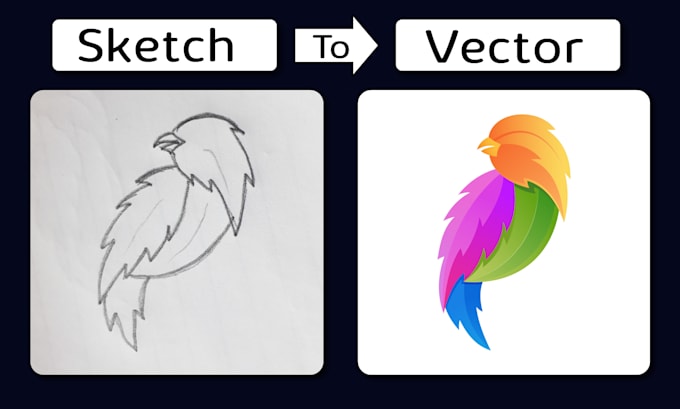 Convert hand drawing to vector by Rainbowdesign_7 | Fiverr