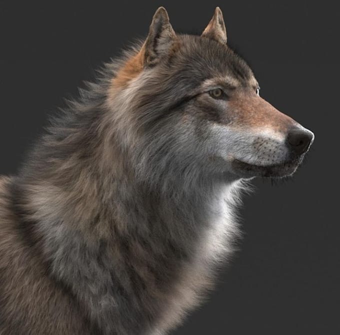 Make awesome animal modeling, 3d animal modeling, 3d kid modeling in ...