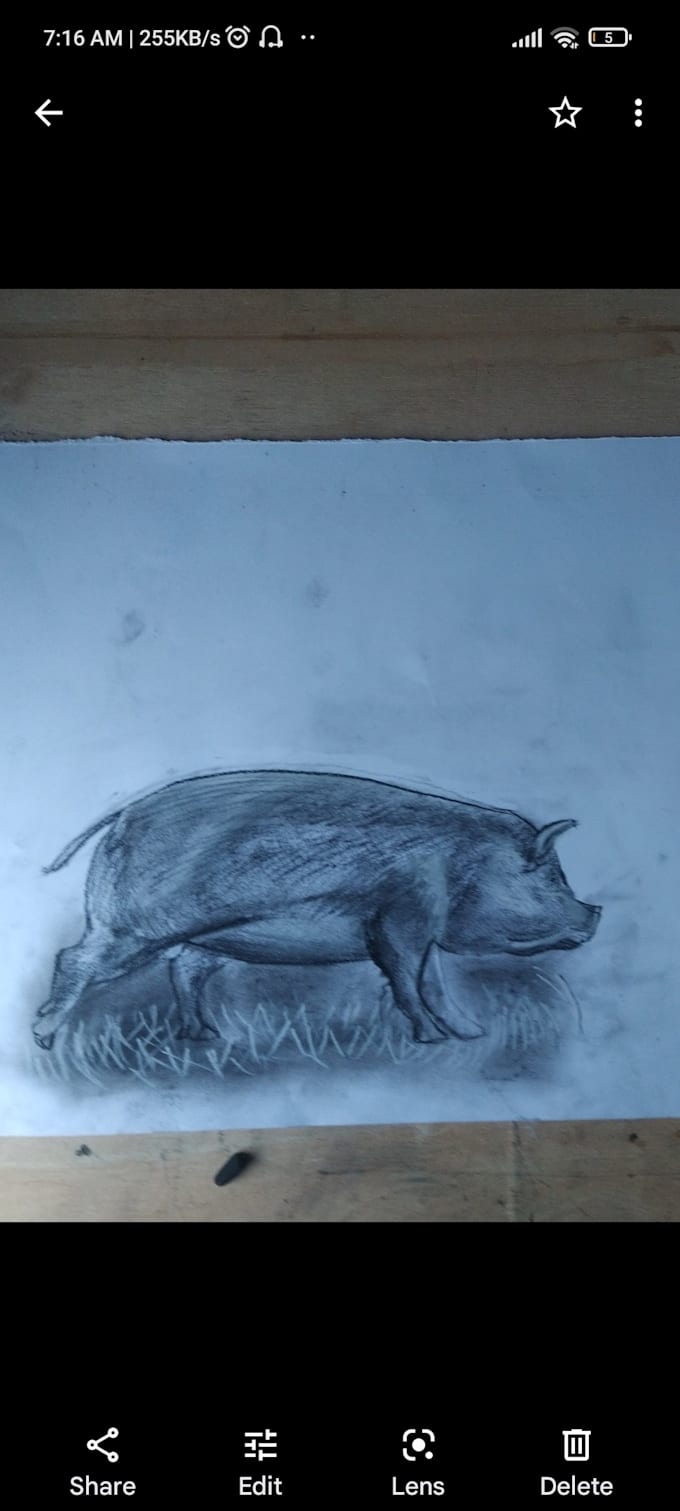 Create hand drawn 2d animations by Muhammadzainb | Fiverr