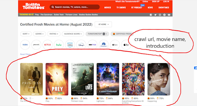 Do web scrapping using python for you by Svcongnghe1995 | Fiverr