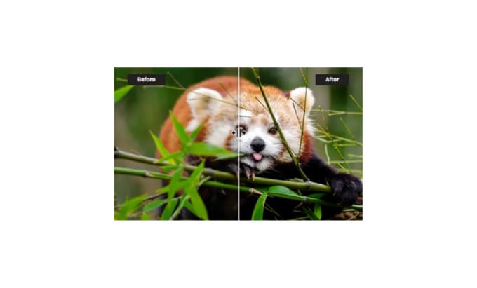 Corriger la photo floue améliorer la qualité de limage by Yassi_ne81 ...