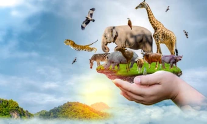 Design powerpoint presentation of biology, zoology by Asmanazar135 | Fiverr