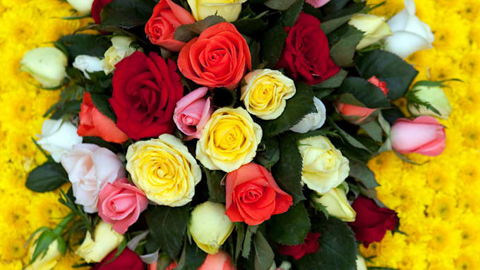 Create attractive any pattern design within 24 hours by Ahmedhussain298 ...