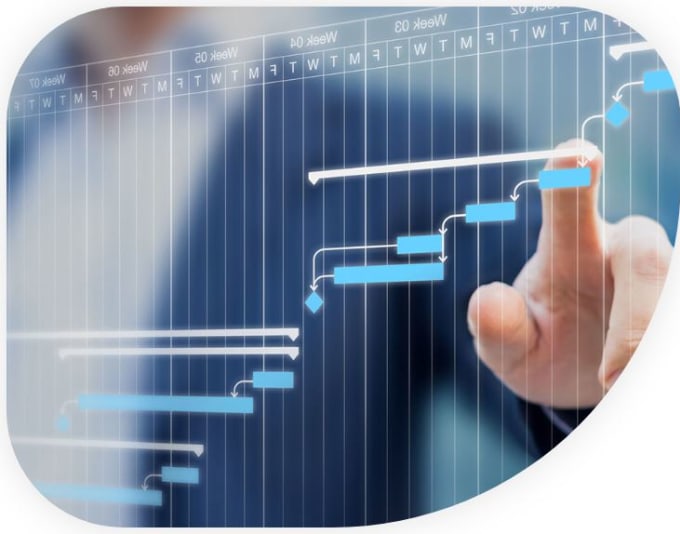 Prepare project schedule s curve resource histogram planning documents ...