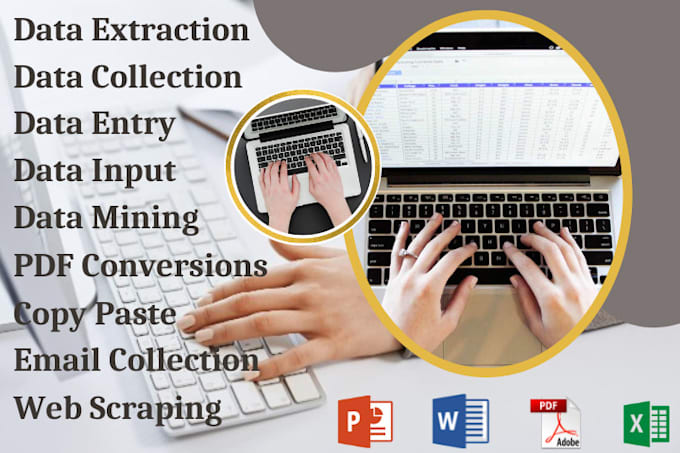 Do data entry, data extraction, collection and input data in excel by Faizan_28 | Fiverr