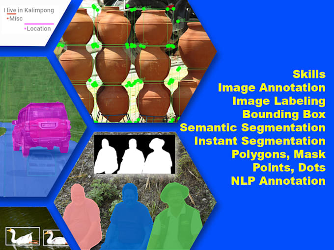 Do image annotation, segmentation, bounding box, data labeling by ...