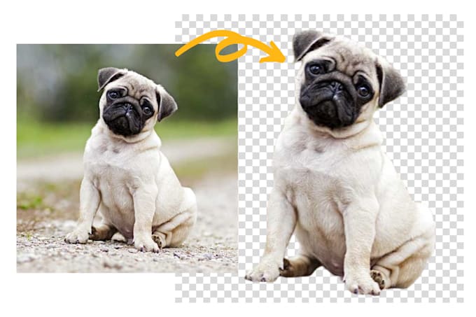 Remove background and create a png image for your posters by ...