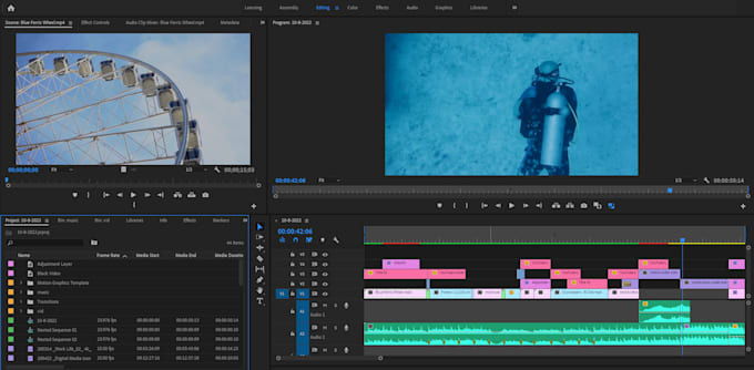 Professionally edit your videos in premiere pro by Artyz0 | Fiverr