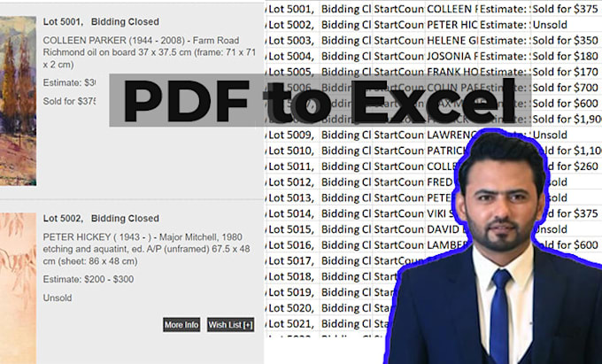 Do pdf to excel conversion by Mohsinhaxan | Fiverr
