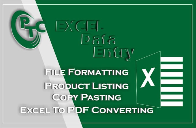 Do data entry on excel by Chaudhuary123 | Fiverr