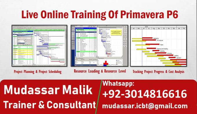 Make your project gantt chart by using primavera p6 or msp by Planner ...