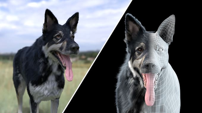 Create realistic character models from reference by Amelia2497 | Fiverr