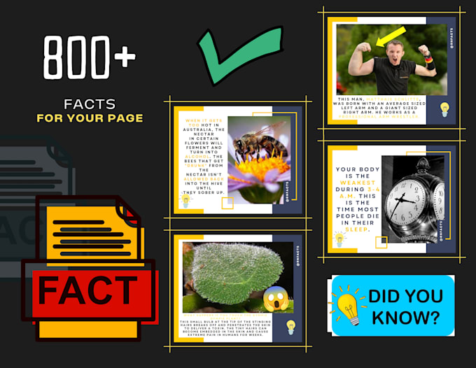 Create facts posts for instagram and facebook by Rndigitals | Fiverr