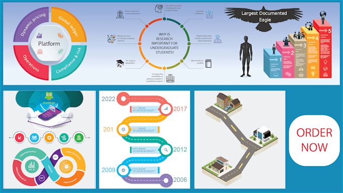 Design unique, creative, and modern infographics by Graphicsifyhub | Fiverr