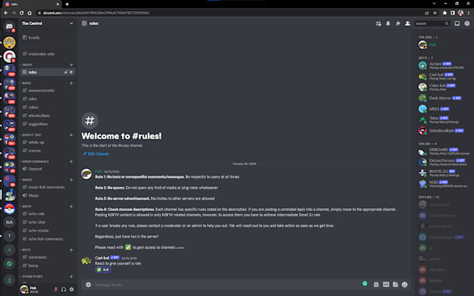 Set up your discord server professionally with best design by Scyp101 ...